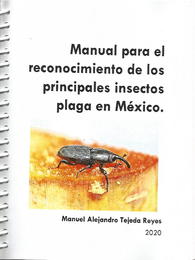 Manual de Insectos Plaga | PDF
