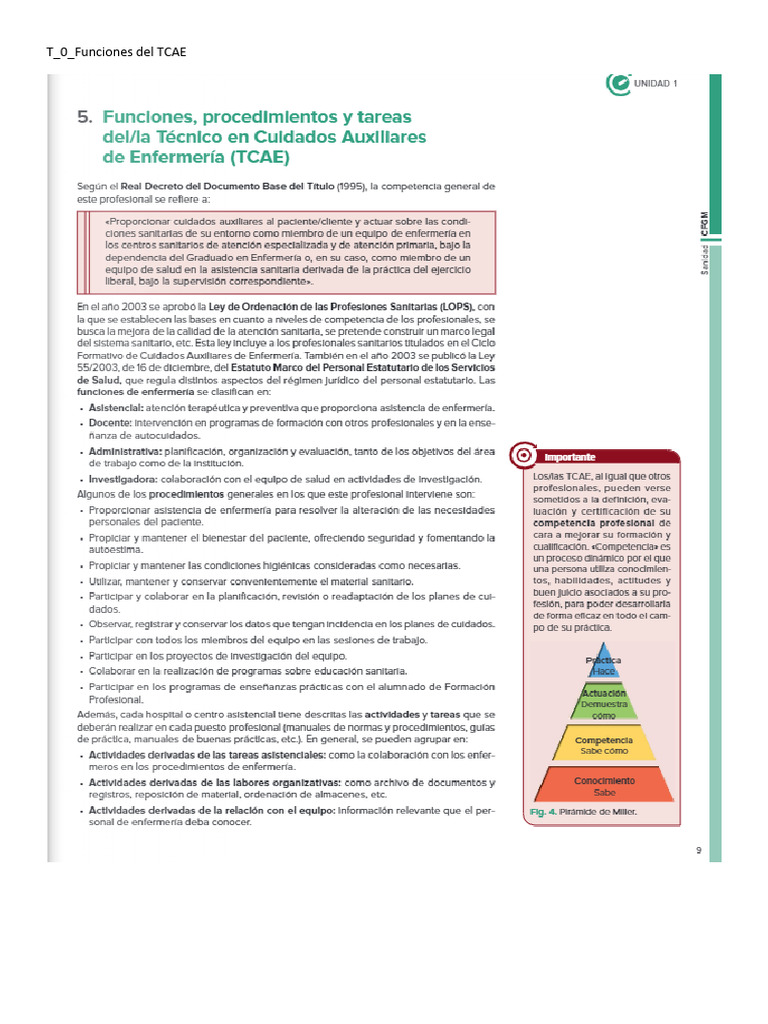 T - 0 - Funciones Del TCAE | PDF