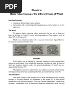 Central Pocket Loop Whorl | PDF