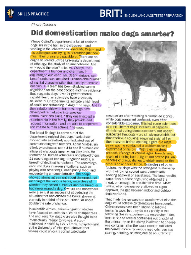 Answerkey - Clever Canines - Multiple Choice Reading | PDF | Career ...