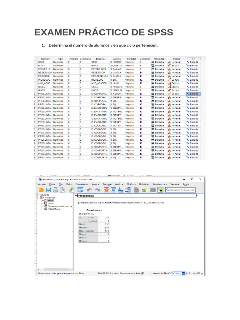 Examen Práctico de SPSS | PDF