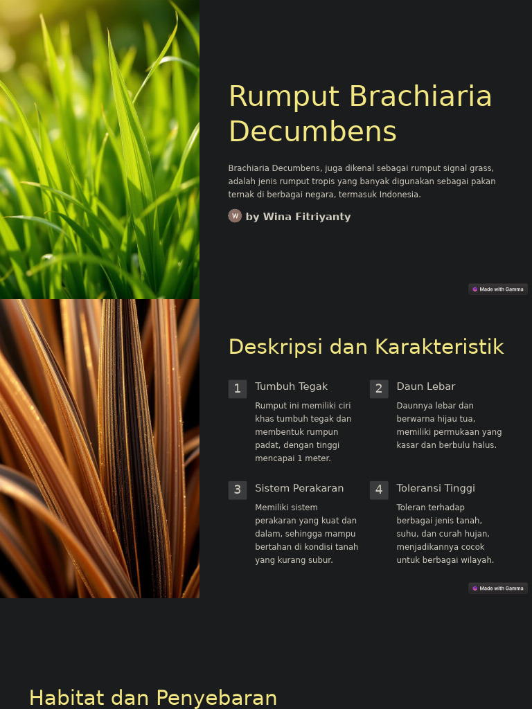 Rumput Brachiaria Decumbens | PDF | Teknologi & Rekayasa