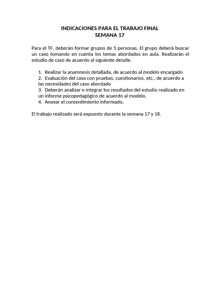 Indicaciones para El Trabajo Final | PDF