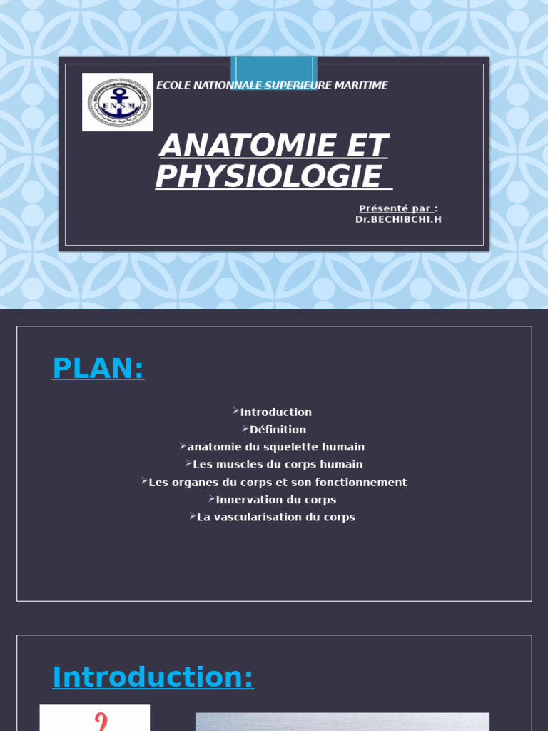 Anatomie Et Physiologie | PDF | Colonne vertébrale | Squelette