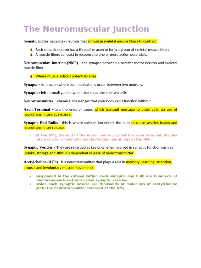 Muscle Reviewer in Pakshit Anaphy | PDF | Neuromuscular Junction | Chemical Synapse