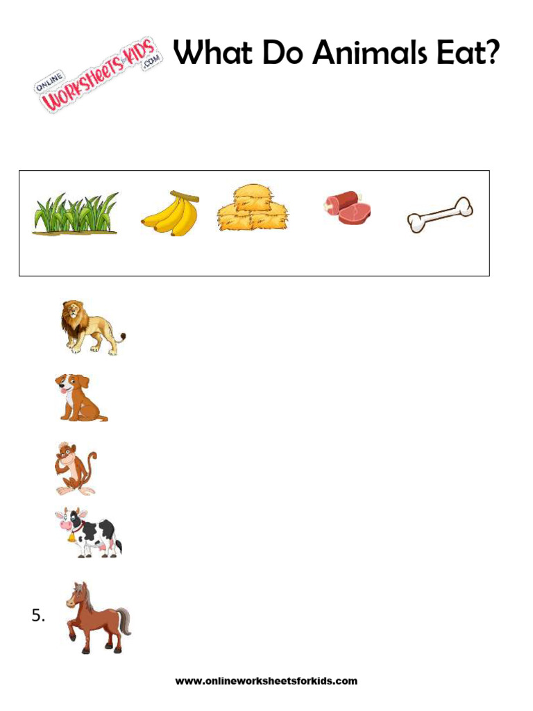 Animal Diets Worksheet for Kids | PDF