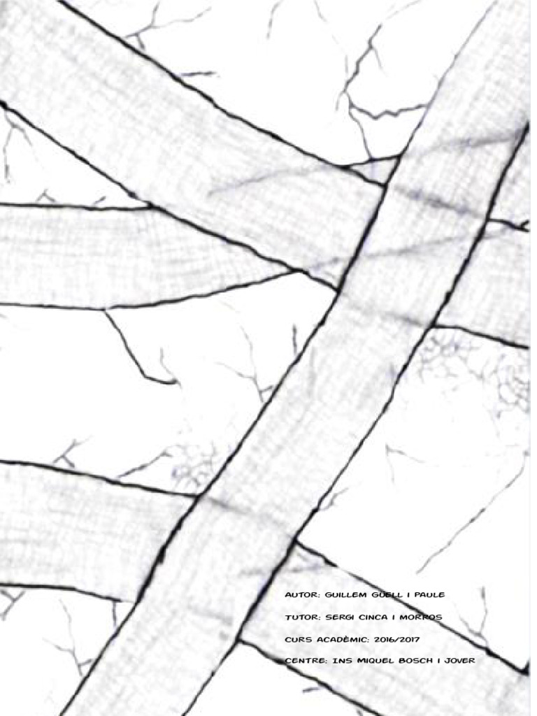 Treball R 2006 M | PDF