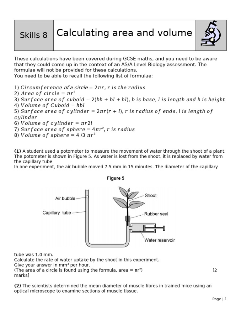 Skills 8 Calculating Area and Volume | PDF | Artery | Area