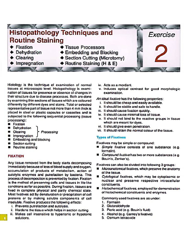 Pathology Practicals | PDF