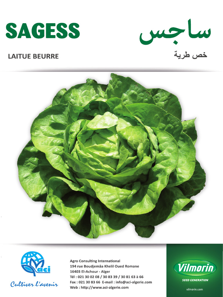 Fiche Technique SAGESS | PDF