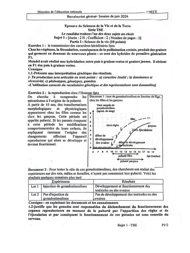 BK - Bac SVT Tse 2024 | PDF