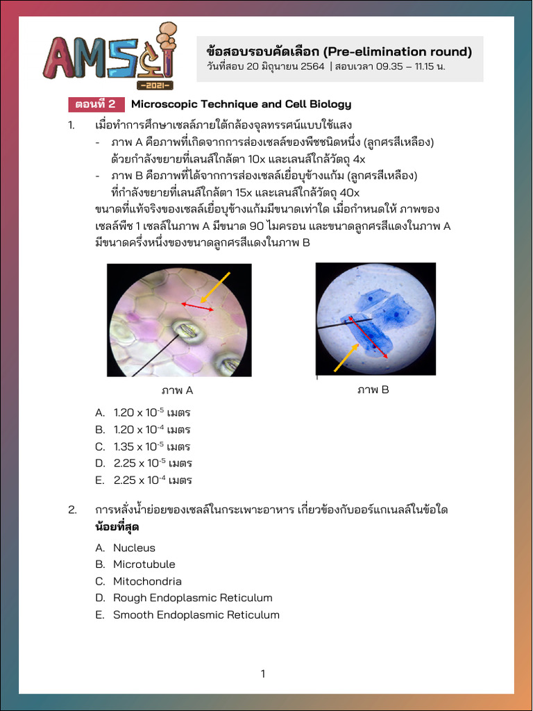 AMSci 2021 Preliminary MCQs | PDF