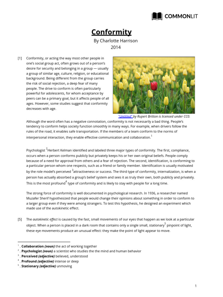 Conformity Teacher 12 | PDF | Conformity | Experiment