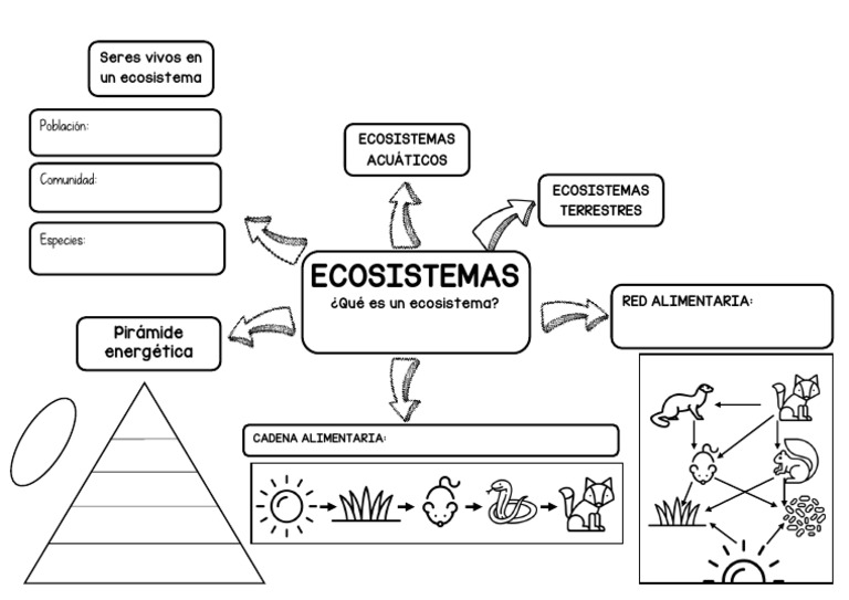 Ecosistemas: Población: Comunidad: Especies | PDF