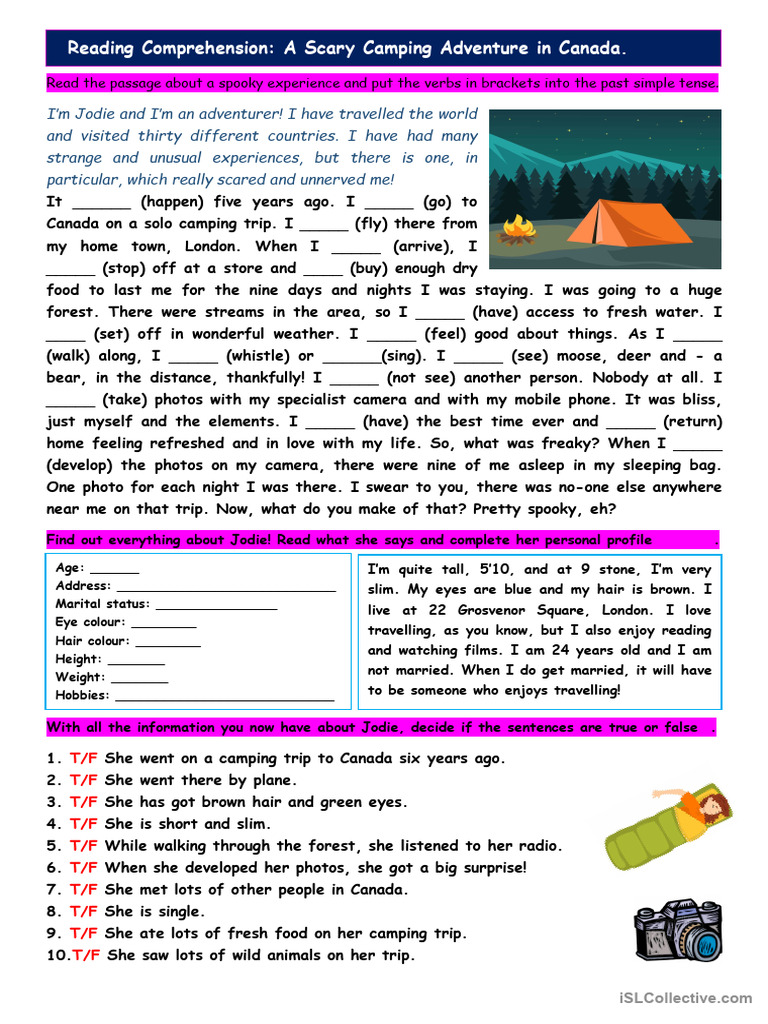 A Reading Comprehension Exercise | PDF