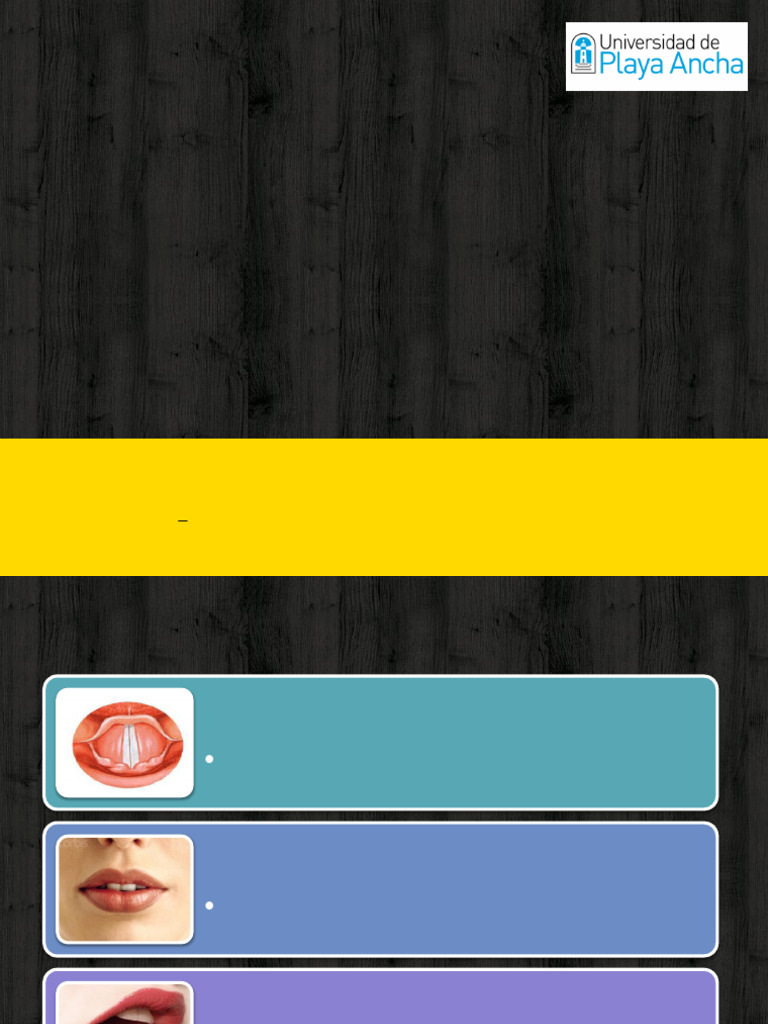 Clase 4.3. - Bases Acusticas de La Producción Vocal | PDF | Vocal | Olas