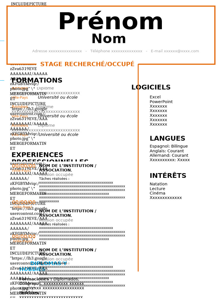 13 CV French | PDF