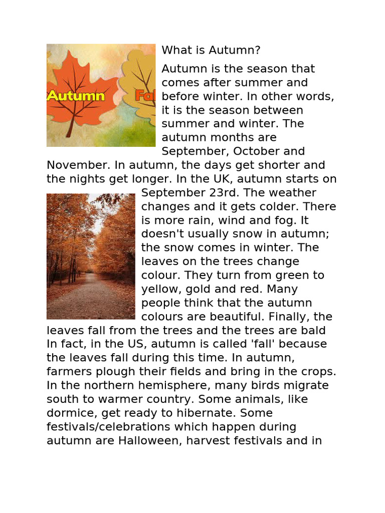 What is Autumn | PDF | Autumn