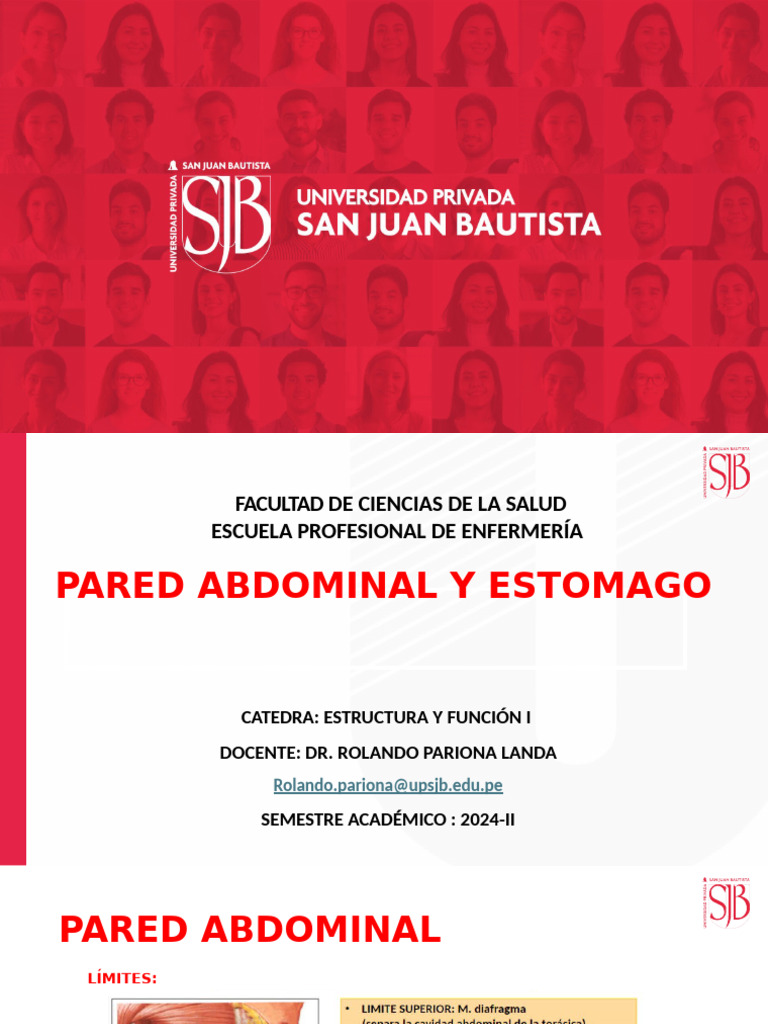 7ma Clase Pared Abdominal | PDF | Abdomen | Intestino grueso