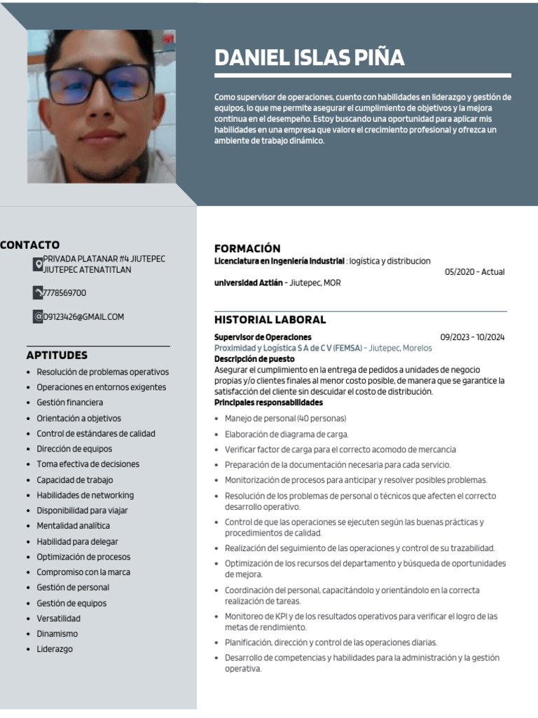 Daniel CV | PDF | Logística | Economias