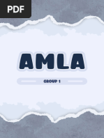 Amlc Approves 2018 Implementing Rules and Regulations of The Amla | PDF ...