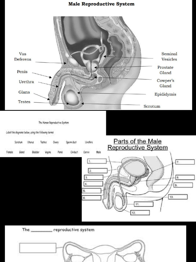 q2 Science (Autosaved) | PDF | Science & Mathematics