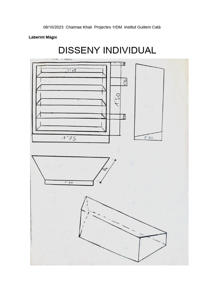 Disseny Individual | PDF