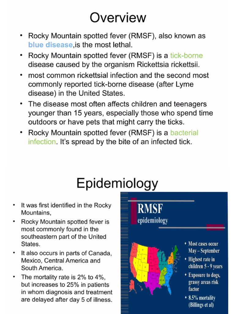 RMSF | PDF