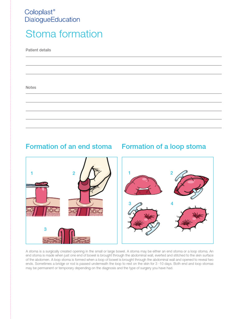 Stoma Types and Surgical Procedures | PDF | Abdomen | Medical Specialties