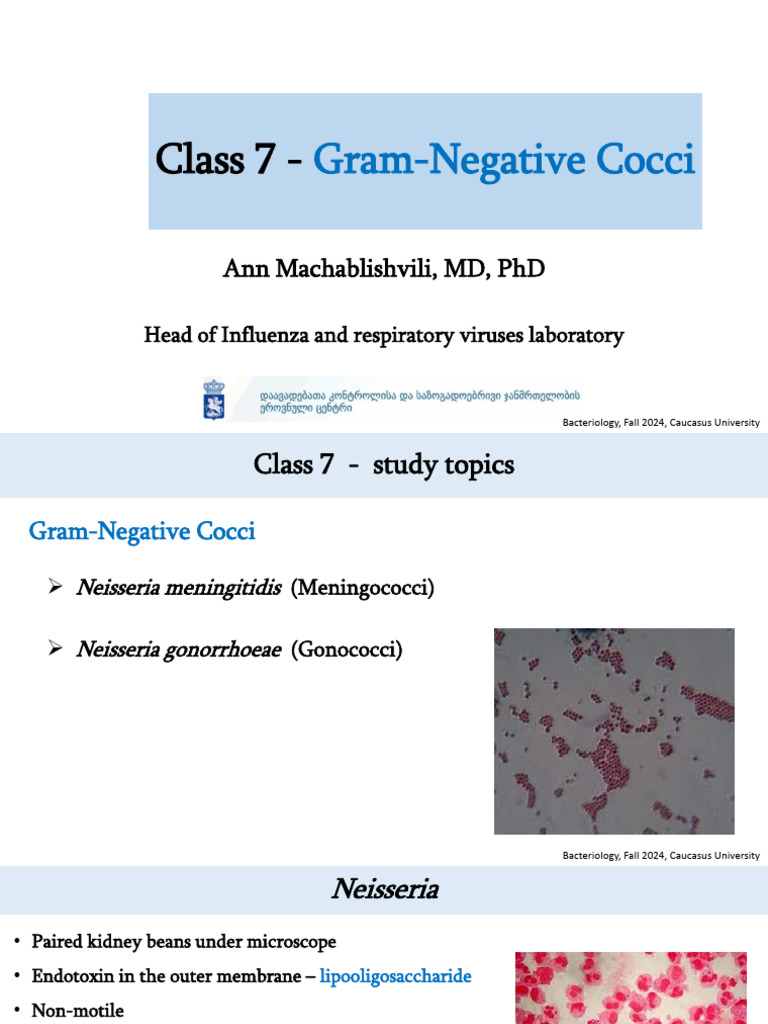 Gram-Negative Cocci: Neisseria Overview | PDF | Lipopolysaccharide ...