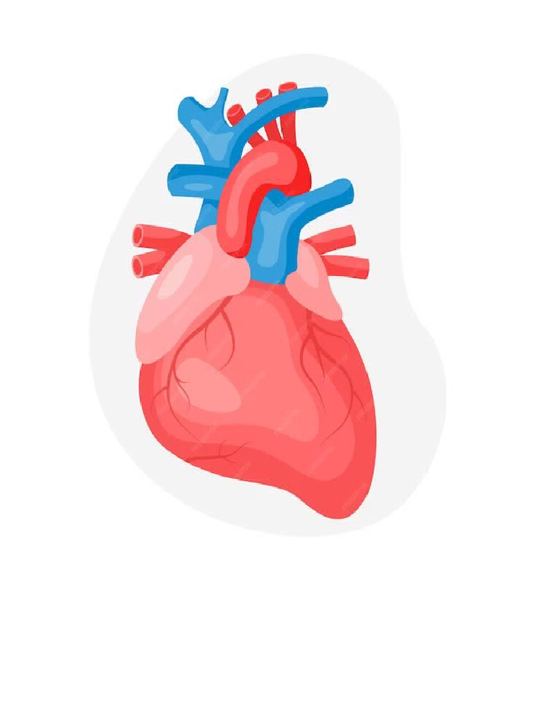 Dibujo El Corazon | PDF
