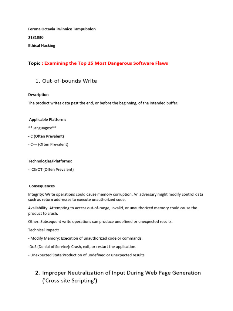 Software Flaws for Developers | PDF | Software | Computer Engineering