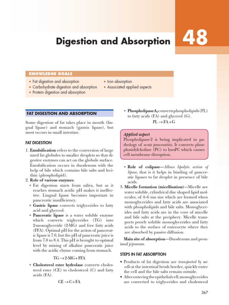 Fat Digestion and Absorption Process | PDF | Digestion | Small Intestine