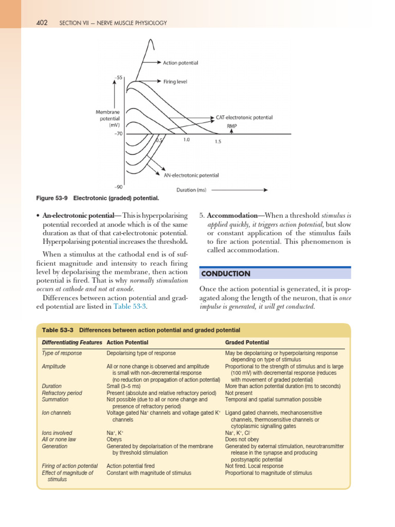 Fundamentals of Medical Physiology Harminder - Unlocked - Split - 85 | PDF | Myelin | Action ...