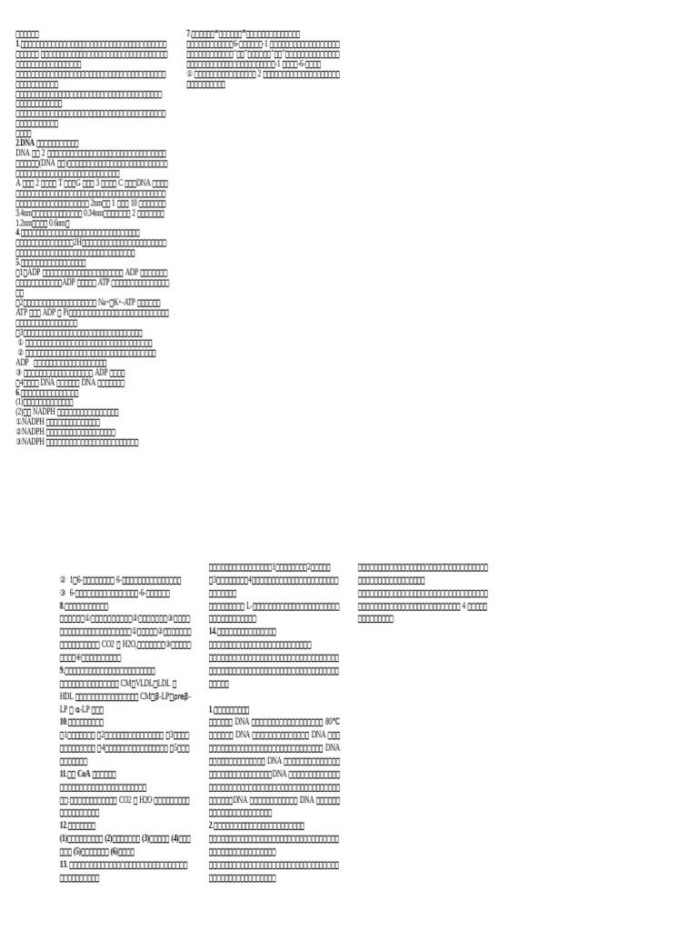 新建 DOCX 文档 | PDF
