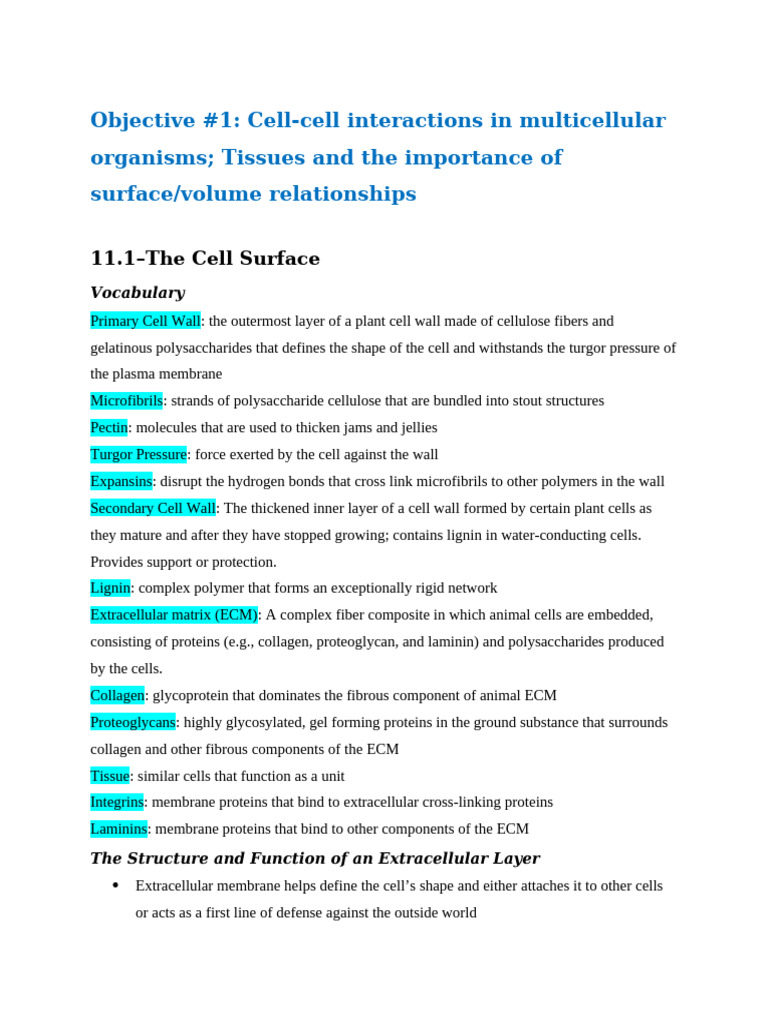Biology Unit 2 | PDF | Extracellular Matrix | Tissue (Biology)
