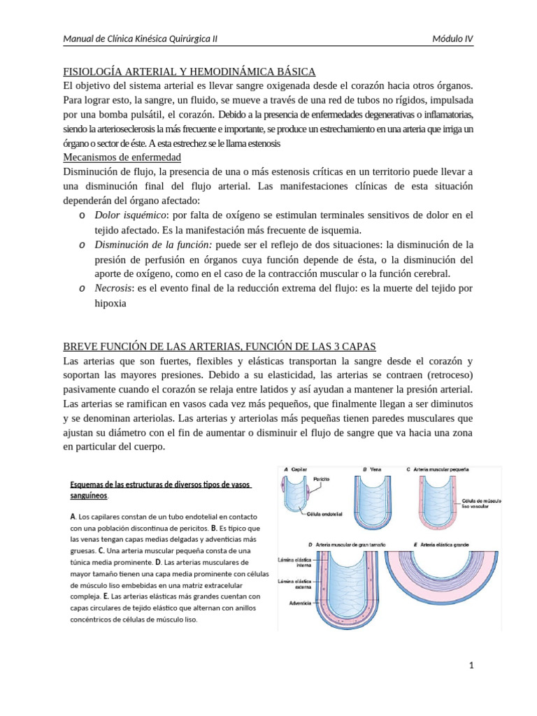 Modulo IV Arteria Amputados | PDF | Embolia | Artería