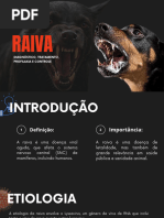 Ficha Antirrabica Preenchivel 27112020 | PDF | Raiva | Sistema de saúde