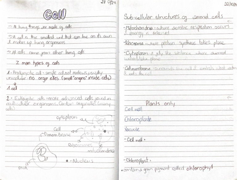 Science Notes - Cells | PDF