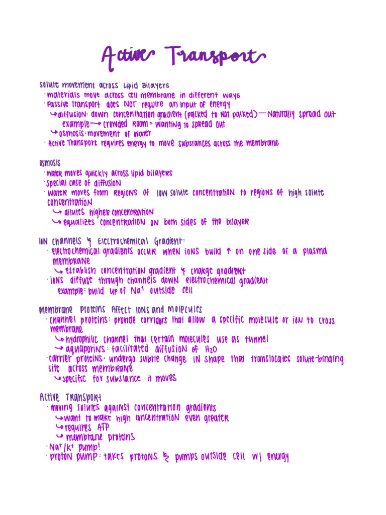 Bio Notes Active Transport | PDF
