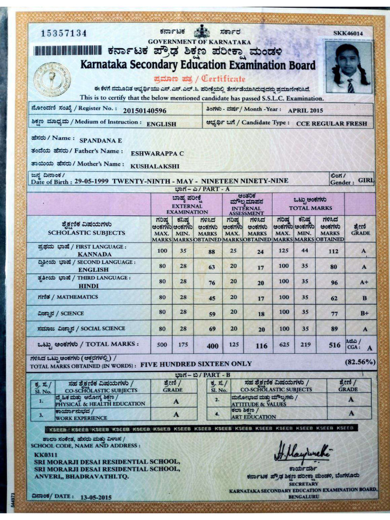 10 TH Mark Sheet | PDF