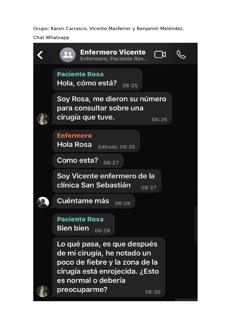Grupo: Karen Carrasco, Vicente Masferrer y Benjamín Meléndez. Chat ...