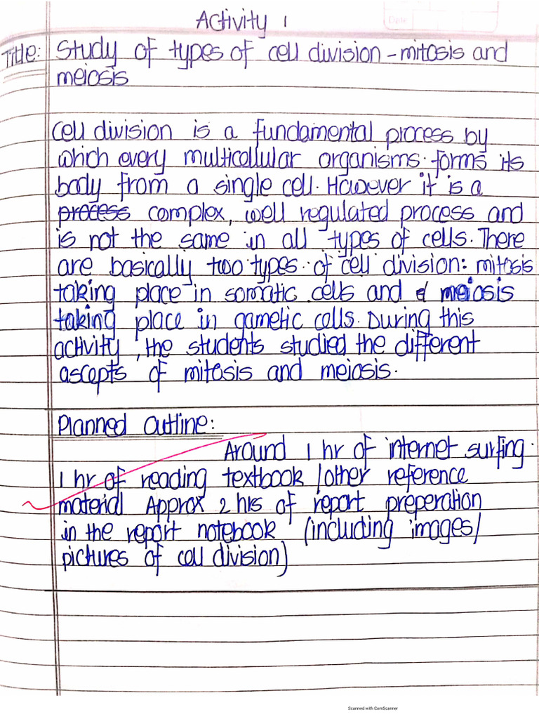 Science II - Activity1 | PDF
