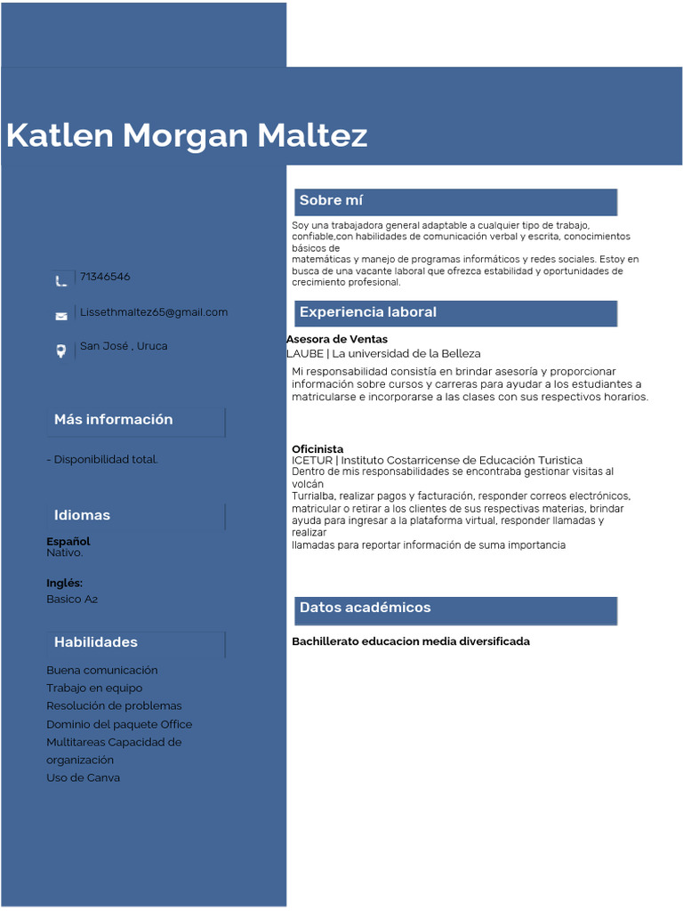 Perfil Profesional de Lisseth Maltez | PDF