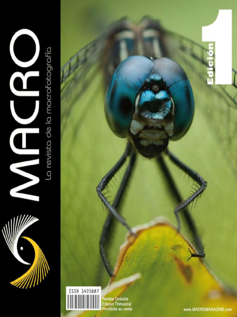 MACRO Magazine - Andres F Salgado | PDF