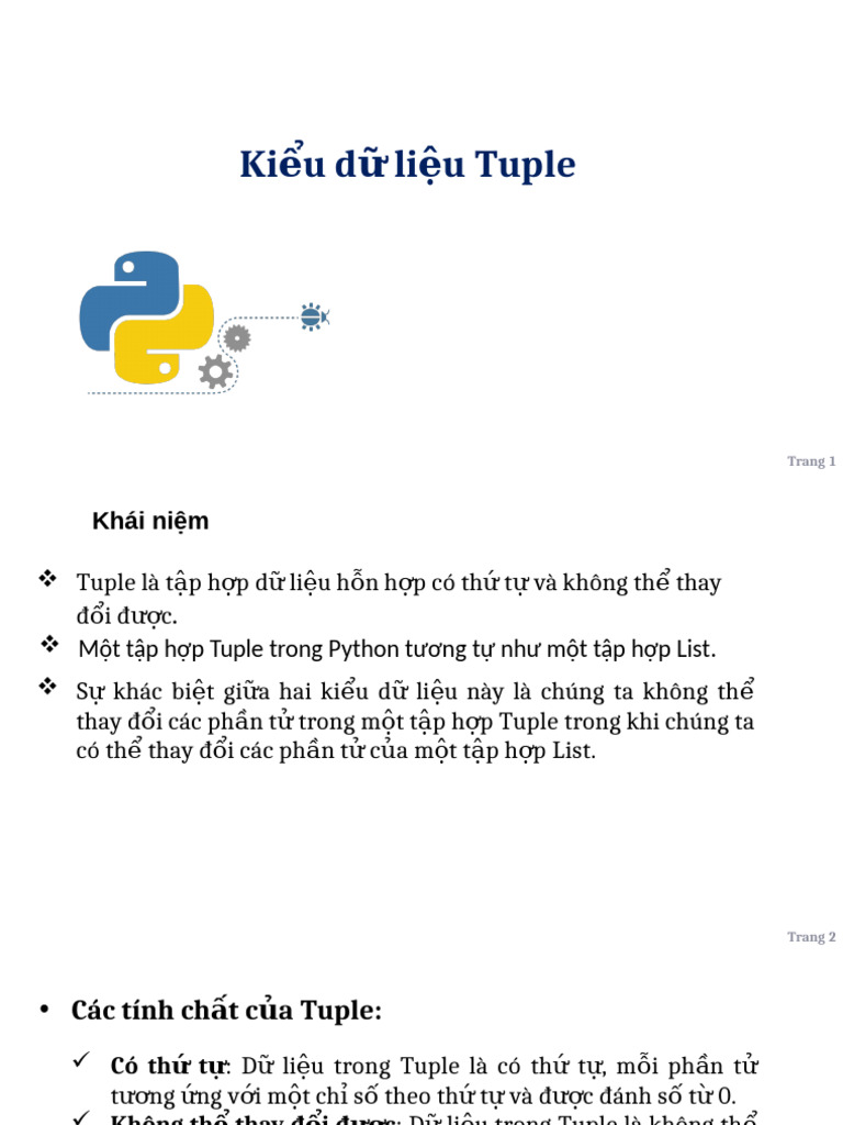 Bai 6 Tuple | PDF