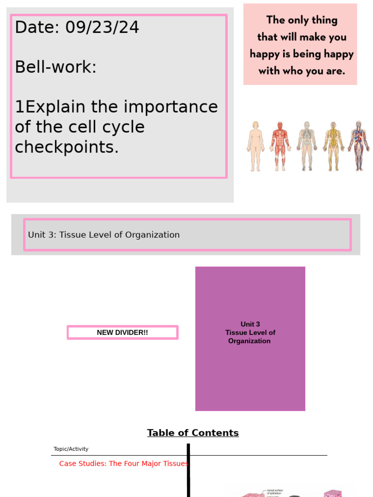 Four Major Tissues | PDF | Weakness | Tissue (Biology)