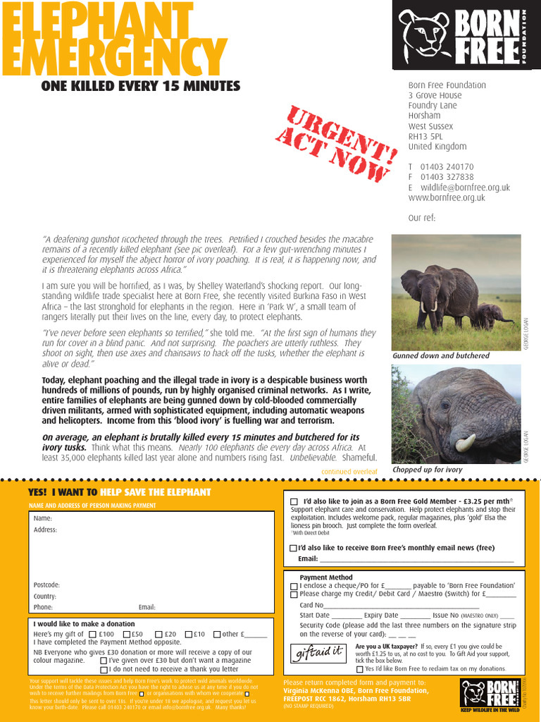 Born Free Foundation | PDF | Ivory