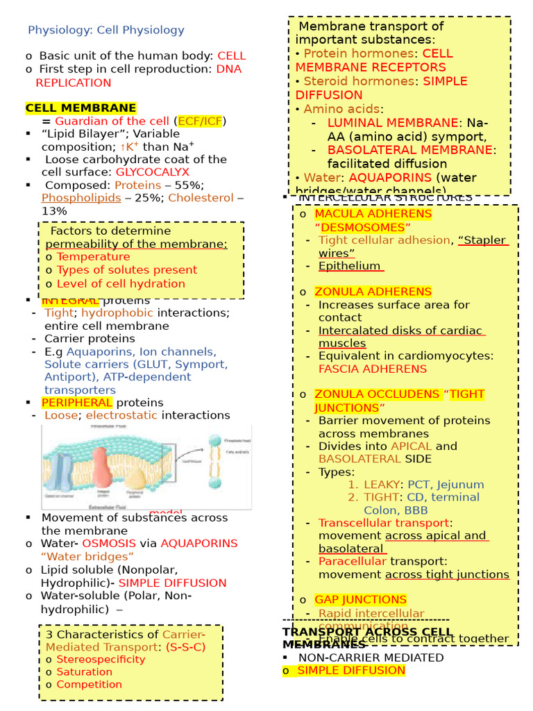 Physio - Cell Physiology | PDF | Cell Membrane | Action Potential