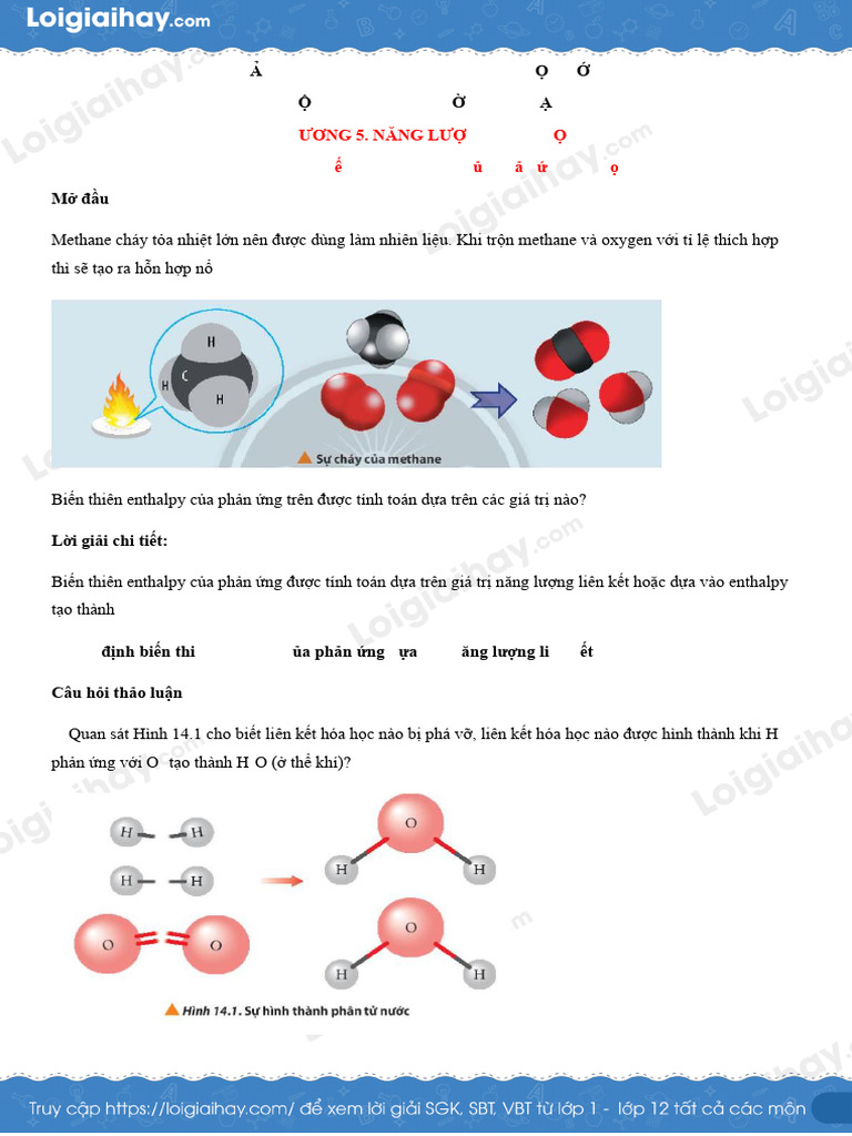 Giai Hoa 10 Bai 14 Trang 88 89 90 91 92 93 Chan Troi Sang Tao | PDF